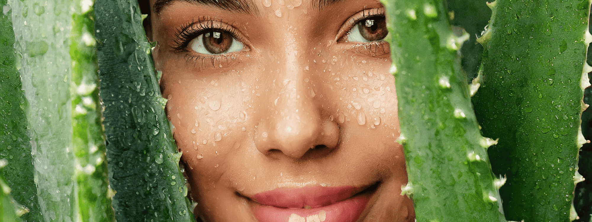 Curaloe Dubai: Buy Natural Skincare & Aloe Vera Products Online in UAE